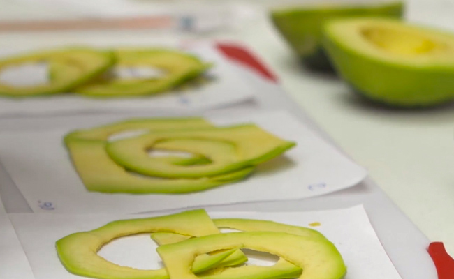 How Avocados Are Tested for Optimal Flavor and Consistency Before ...